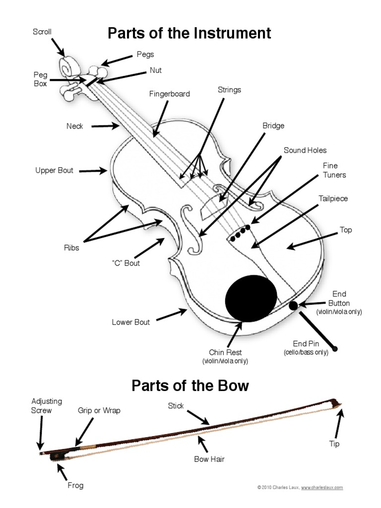 Parts of The Instrument Diagram and Test | PDF | Violin | Cello