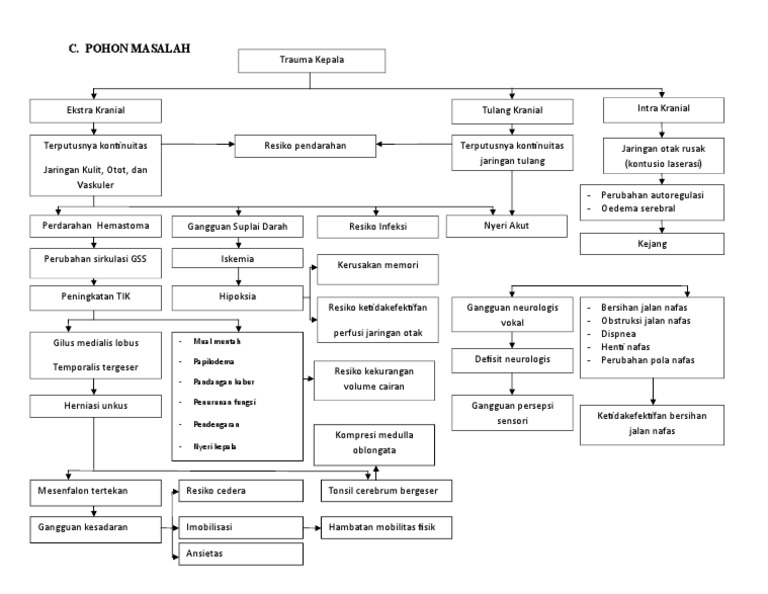 Pathway Cedera Kepala | PDF