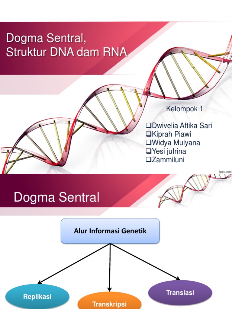 Aliran Informasi Genetik (Dogma Sentral, Struktur DNA Dan RNA | PDF