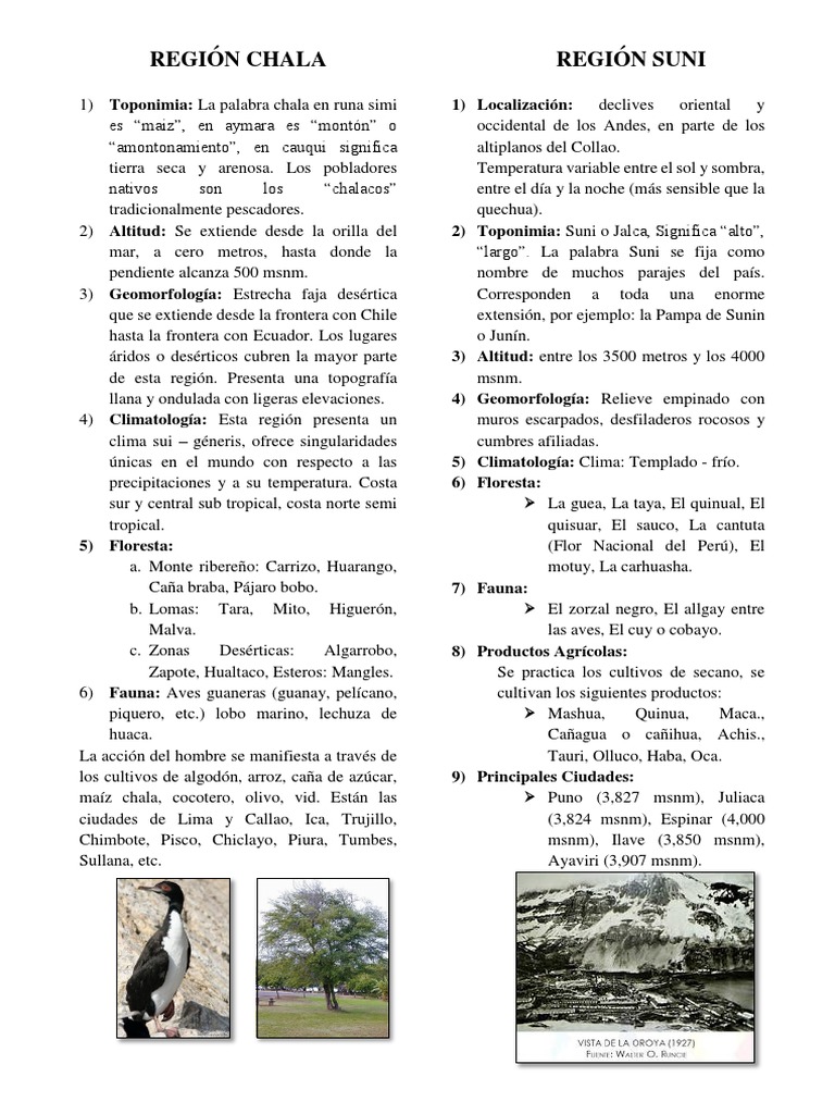 Región Chala | PDF | Geografía Física | Ciencias de la Tierra
