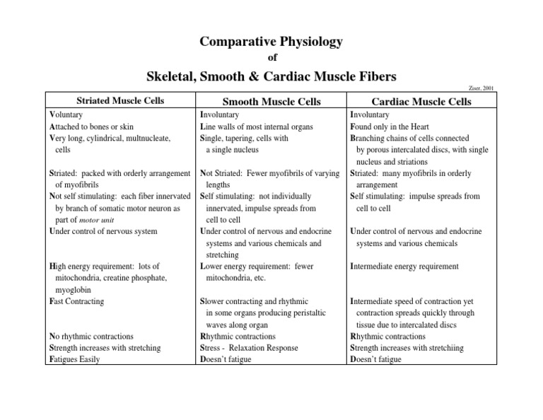 Muscle Cell Comparison | PDF | Myocyte | Muscle