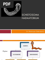 Stool Routine Examination | PDF | Human Feces | Clinical Medicine