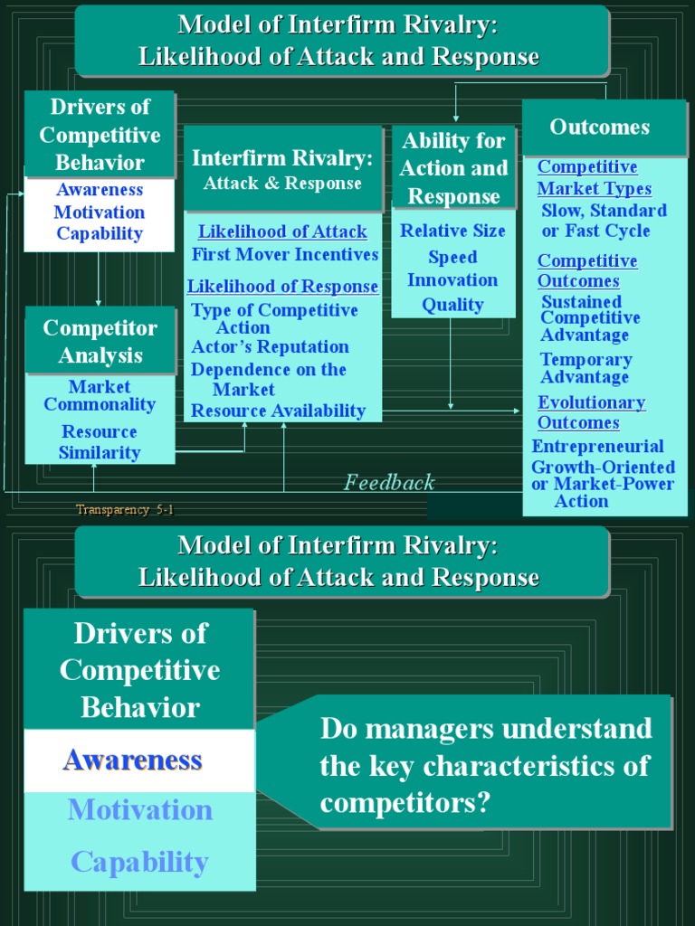 Ability For Action and Response Outcomes Drivers of Competitive ...