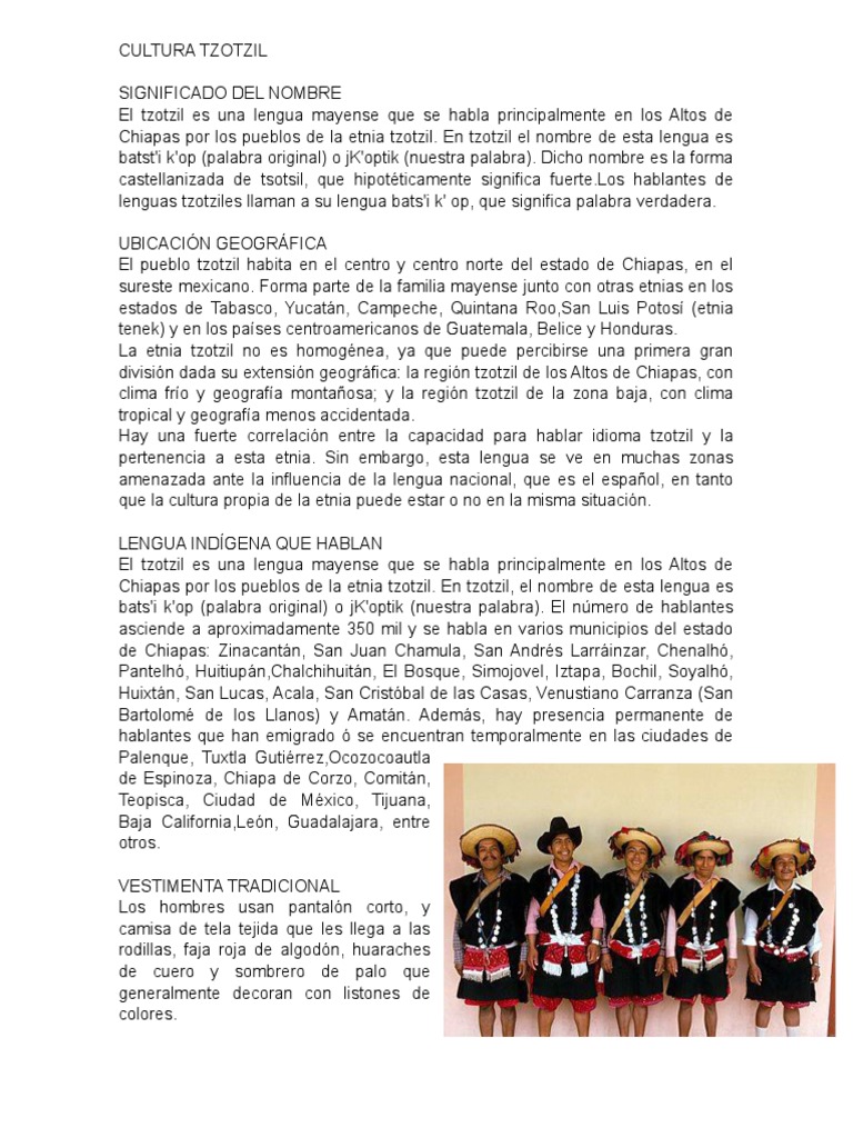 Cultura y lengua tzotzil en Chiapas | PDF | Personas | Cultura (general)