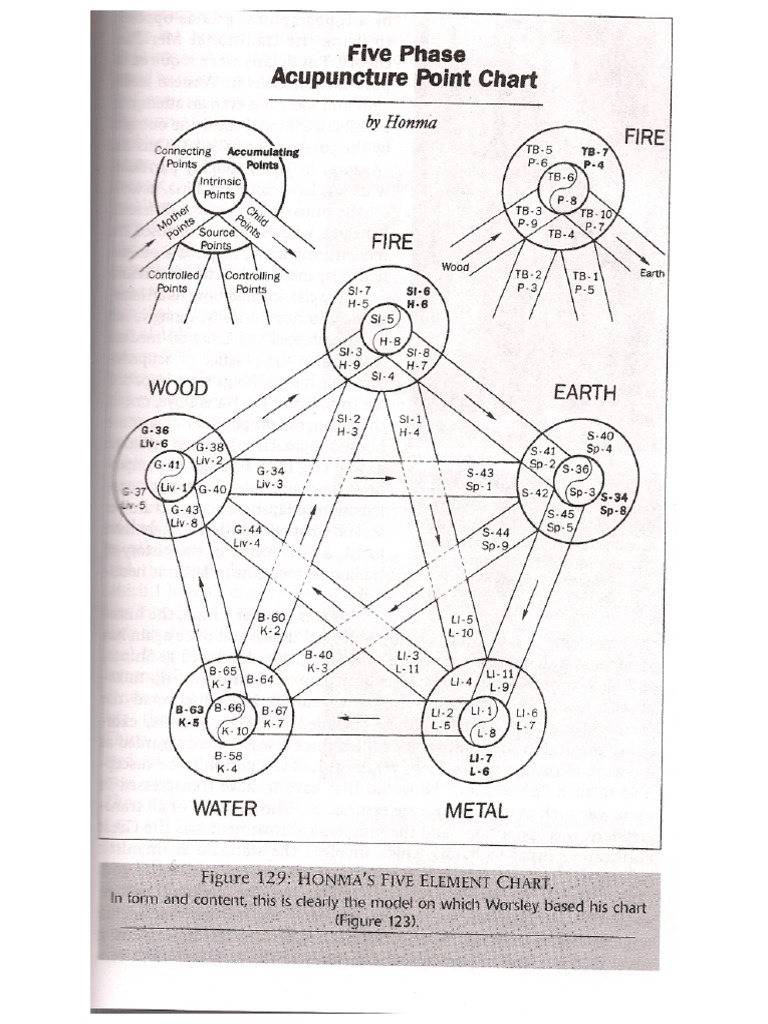 Five Phase Acupuncture Point Chart | PDF