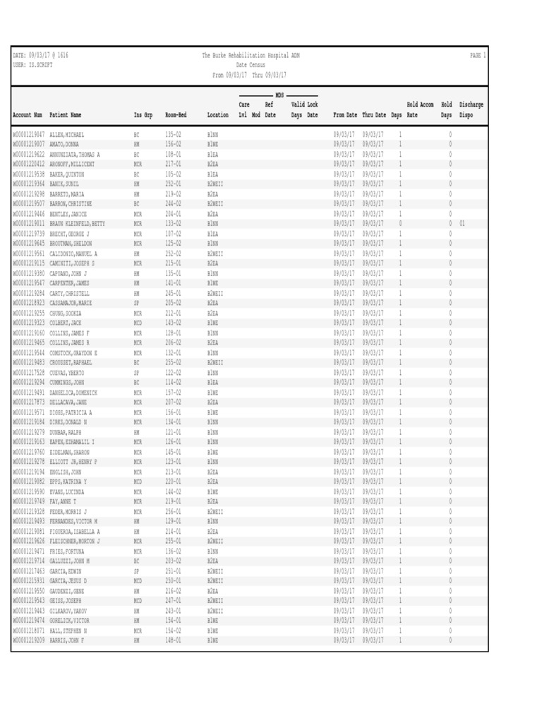 Inpatient Census | PDF | Typographical Symbols