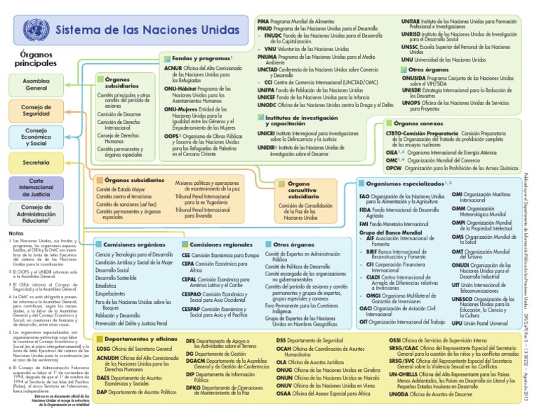 Estructura ONU.pdf | Naciones Unidas | Política internacional