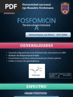 Prosp Fosfolea | PDF | Infección del tracto urinario | Bacterias Gram ...