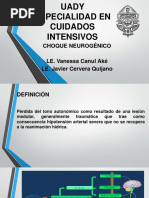 Deterioro Rostrocaudal: Etiología | PDF | Medicina | Sistema nervioso