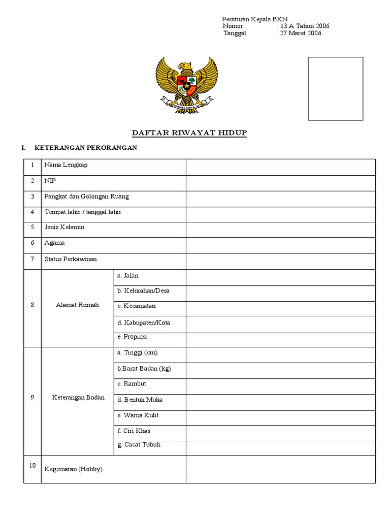 Daftar Riwayat Hidup PNS 2006 | PDF
