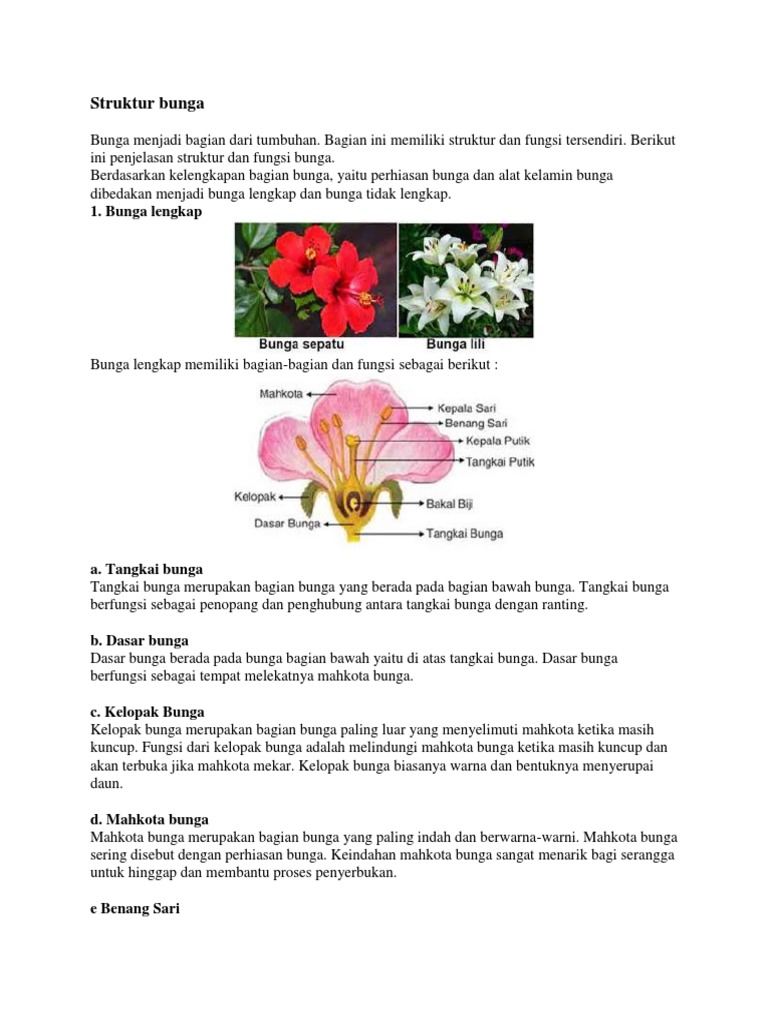Struktur Bunga | PDF