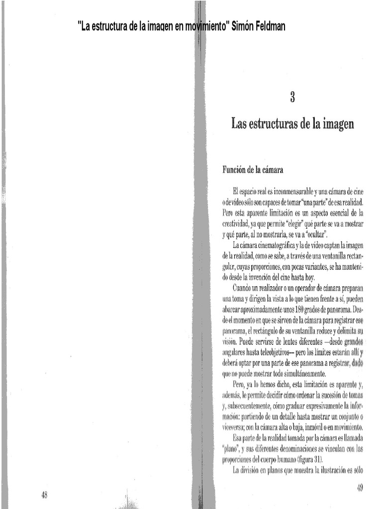 02 - Feldman, Simón "La Composición de La Imagen en Movimiento" | PDF