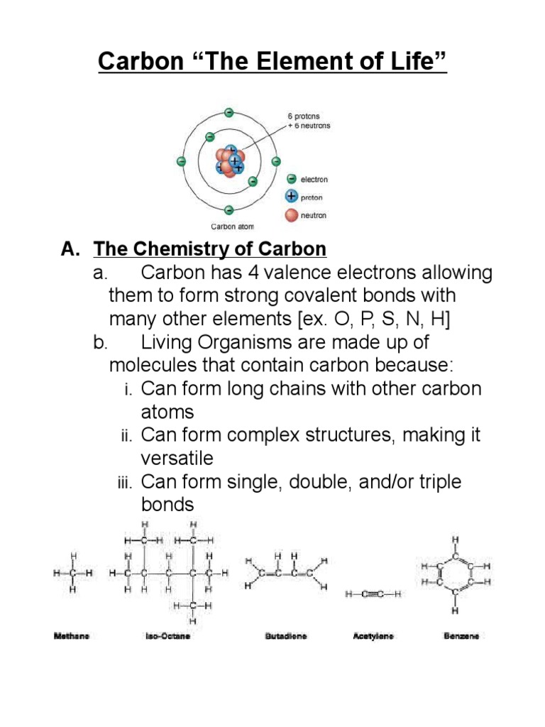 TC 12 Carbon Based Molecules | PDF | Travel | Wellness
