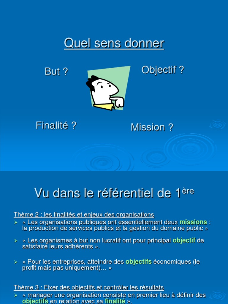 Finalite Mission But Objectif | PDF | Business | Économie