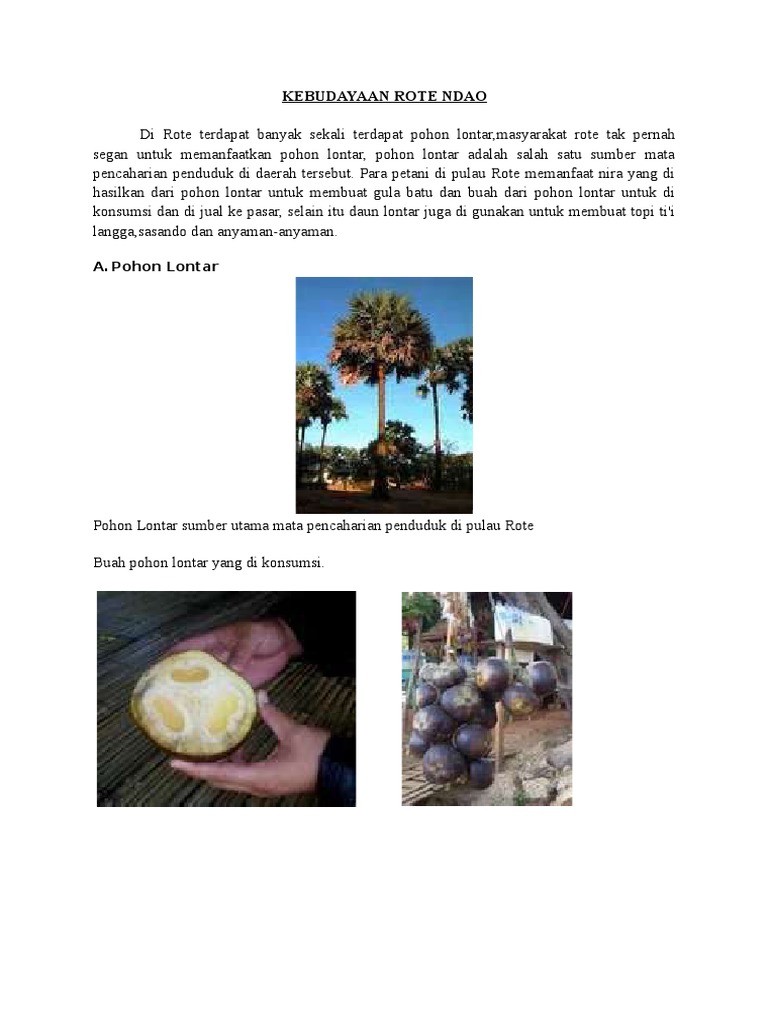Kebudayaan dan Tradisi Rote Ndao | PDF