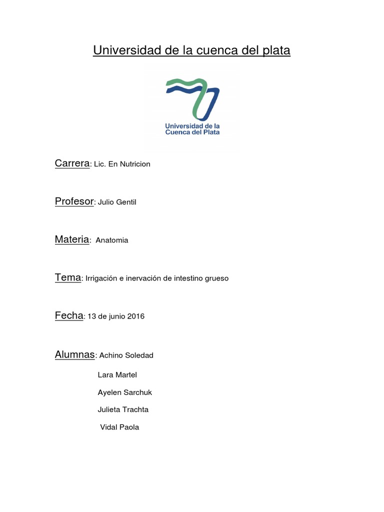 Irrigación e Inervación del Colon | PDF | Intestino grueso | Recto