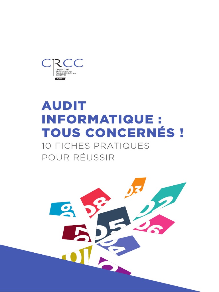 Guide pratique de l'audit informatique | PDF | Audit | Business