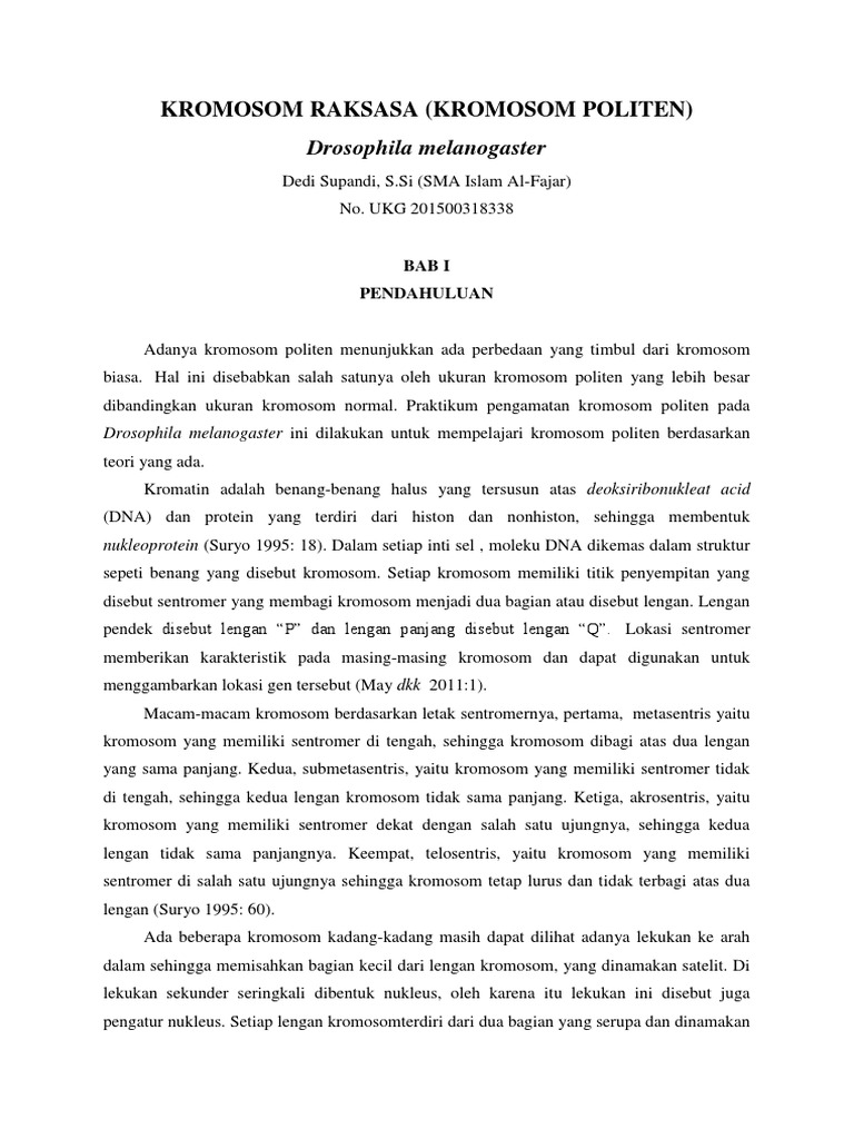 LK-04 Kromosom Raksasa | PDF