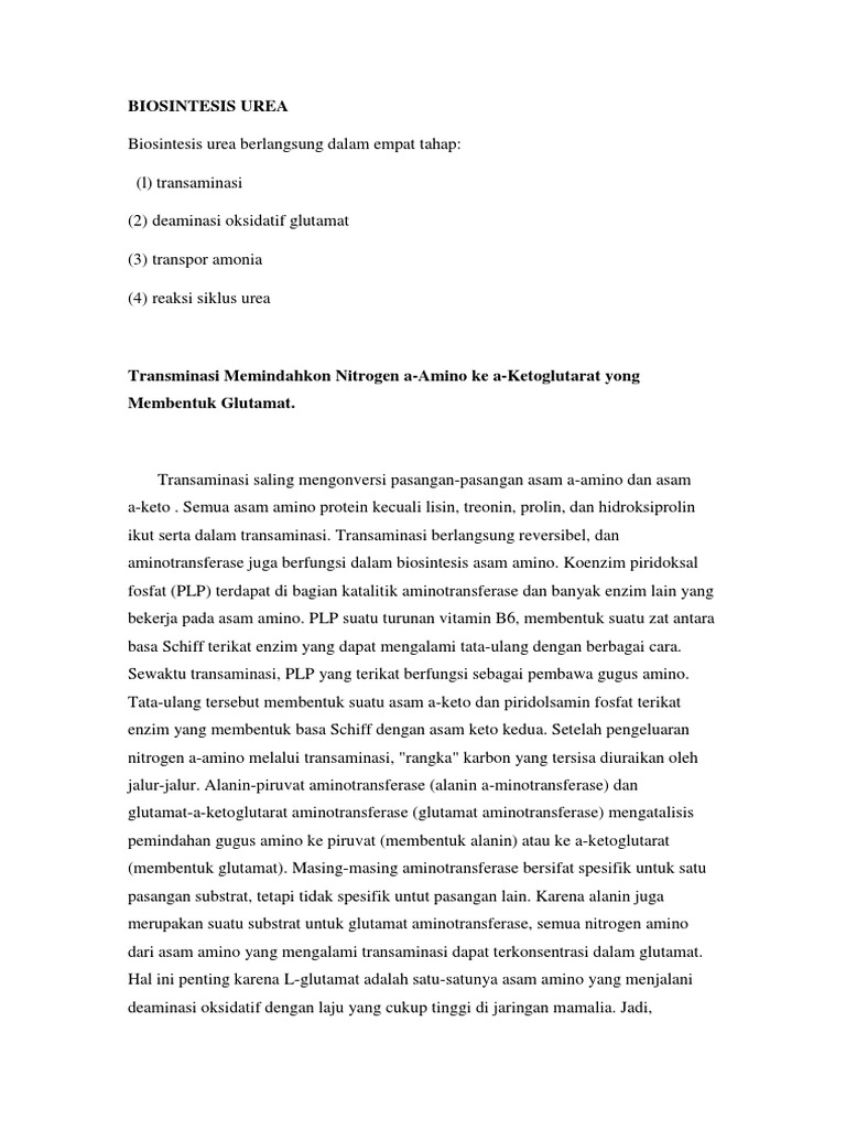 Proses Biosintesis Urea | PDF