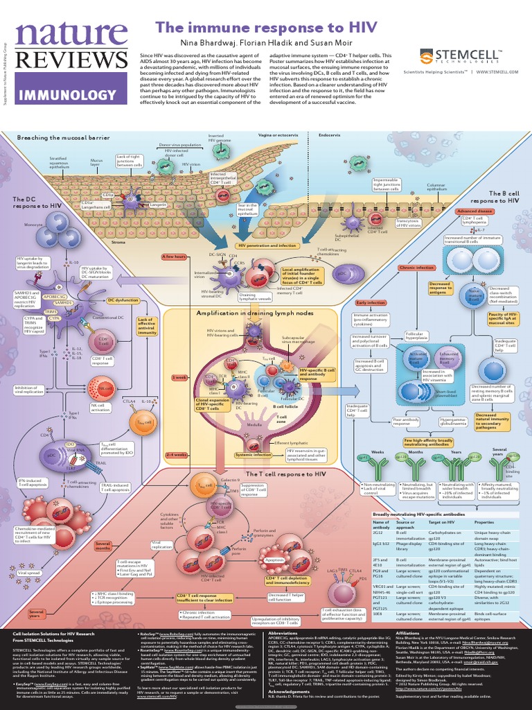 nri1201_hiv_poster.pdf | T Helper Cell | Cytotoxic T Cell