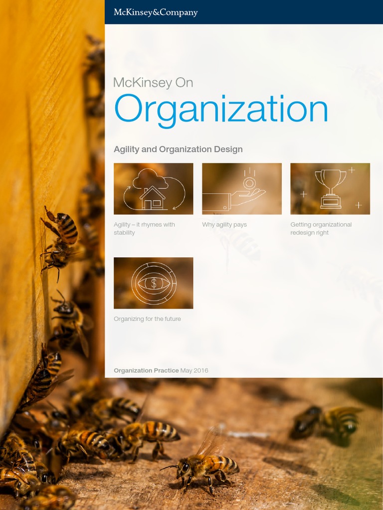 McKinsey On Organization Agility and Organization Design | PDF ...