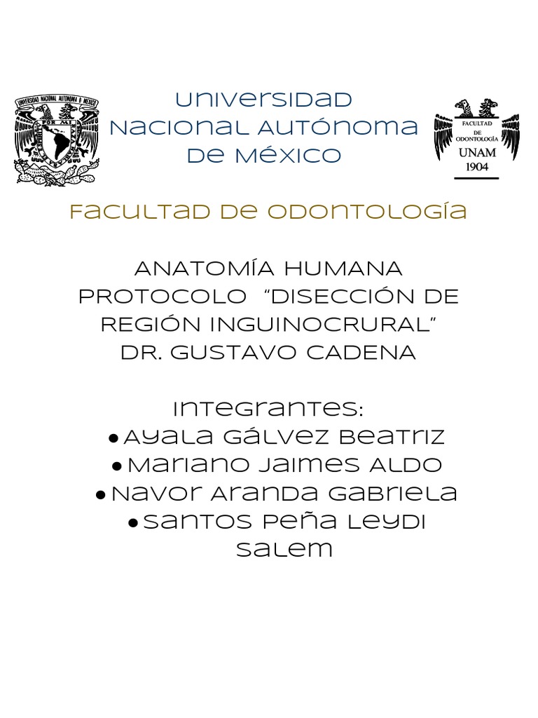 Región Inguinocrural | PDF | Pelvis | Sistema musculoesquelético