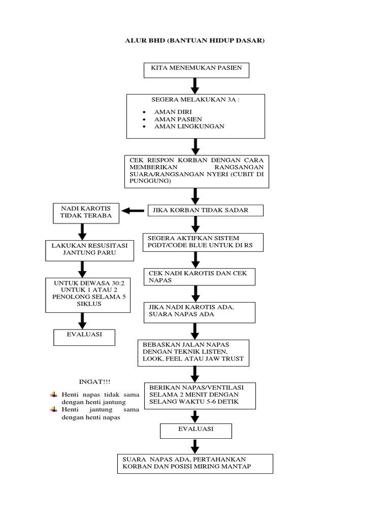 Alur BHD | PDF | Kesehatan Holistik