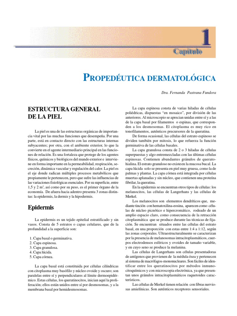 Propedéutica Dermatológica | PDF | Piel | Epidermis