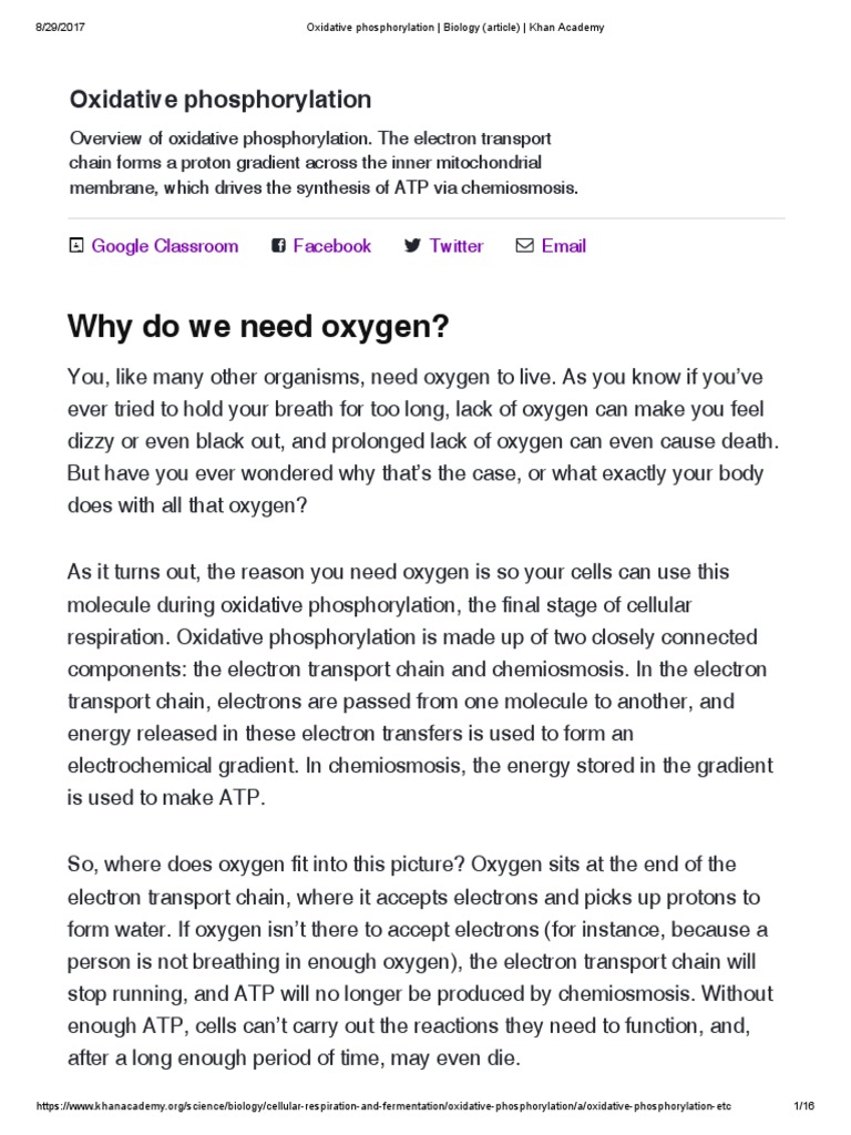 Mastering Biology Oxidative Phosphorylation Concept Map
