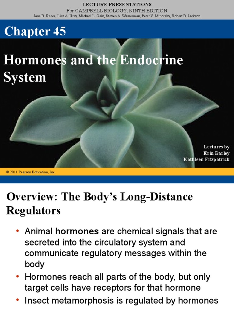 Hormones and The Endocrine System: For Campbell Biology, Ninth Edition ...