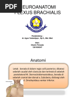 Peta dan Fungsi Dermatom Tubuh | PDF
