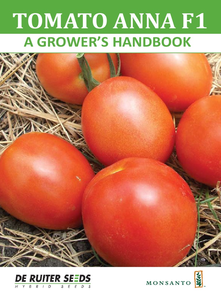 Anna F1 Tomato Cultivation Guide | PDF | Tomato | Soil