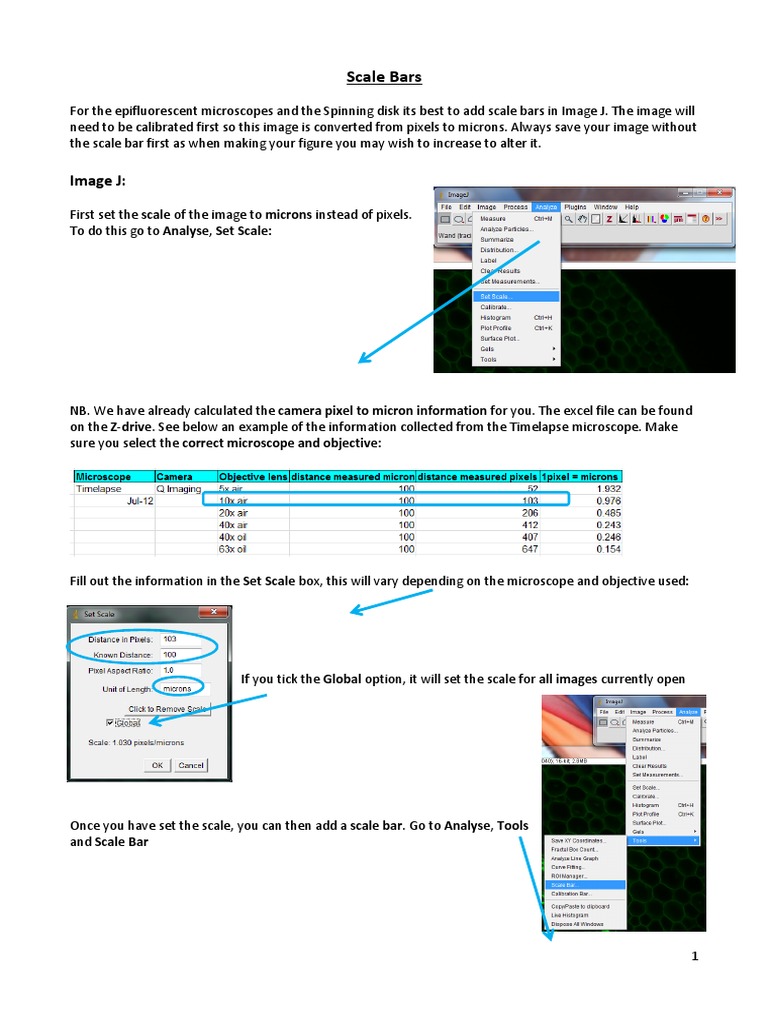 Scale Bars PDF | PDF | Pixel | Adobe Photoshop