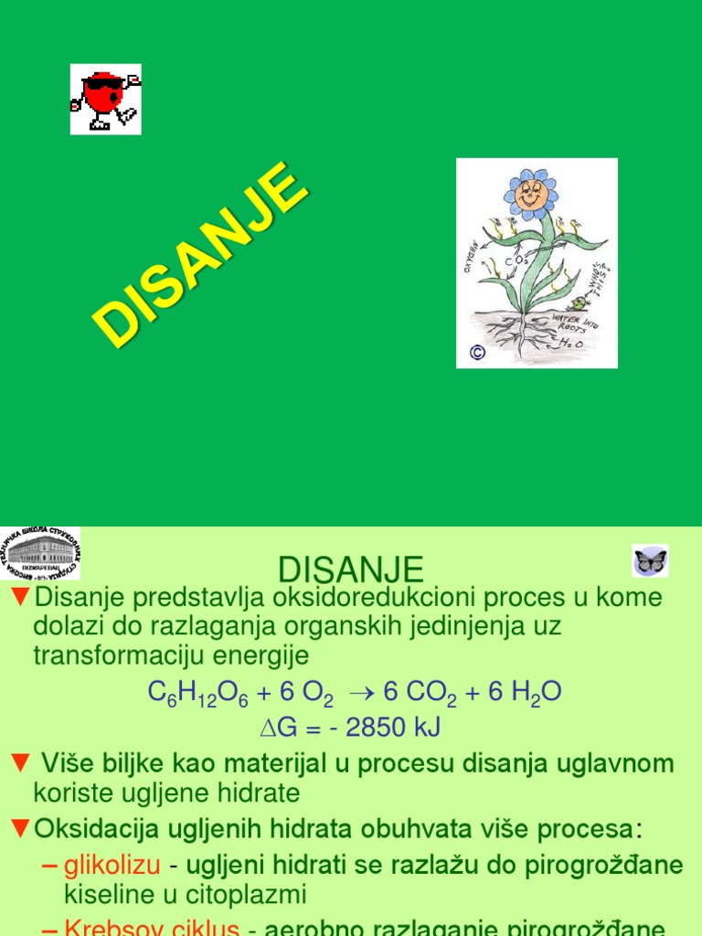 Disanje | PDF