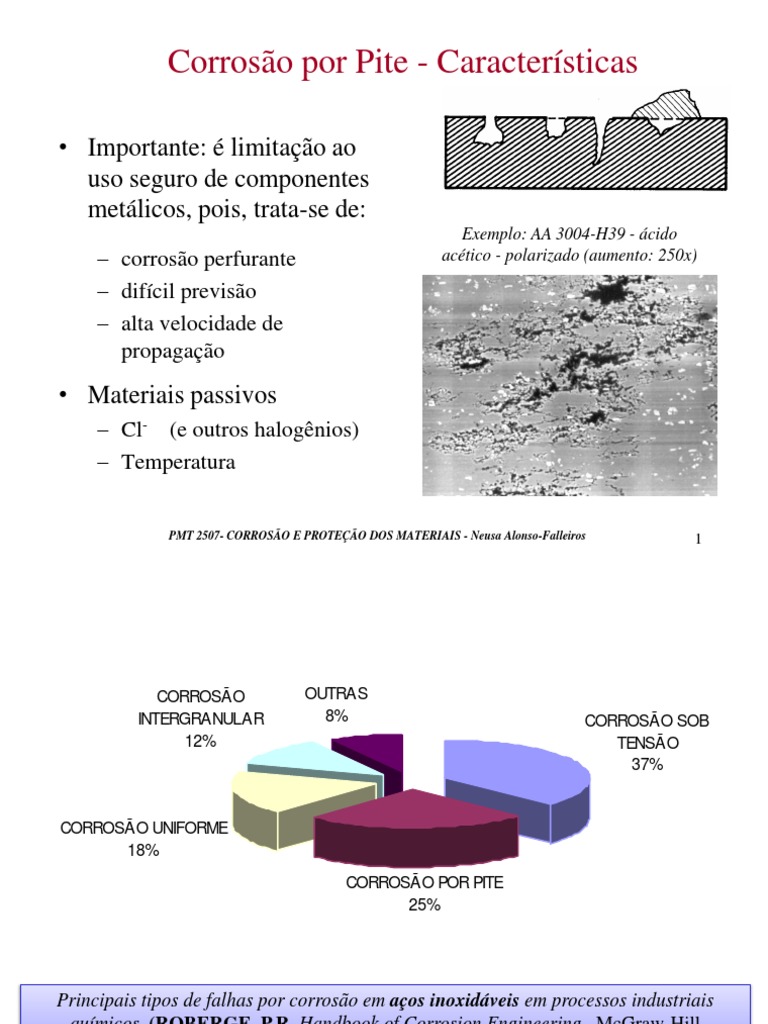 10 Pite PDF | PDF | Computadores | Tecnologia e Engenharia