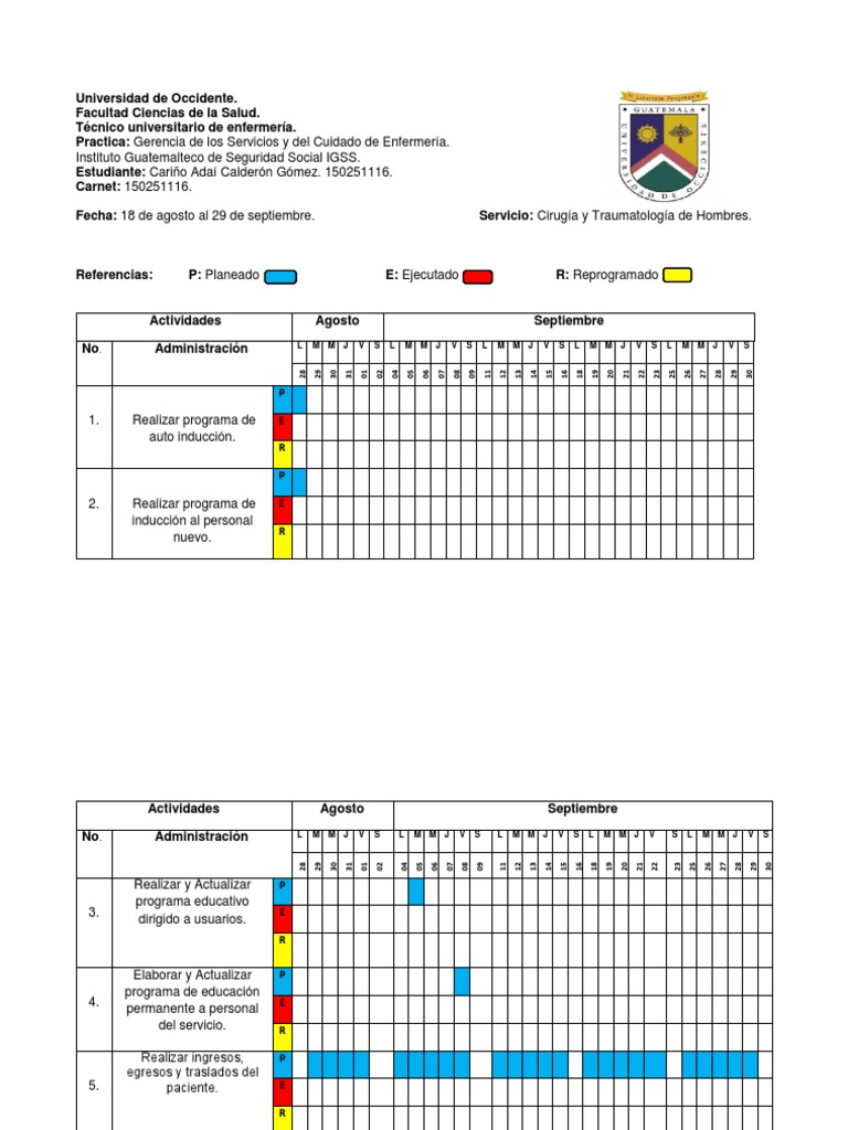 Grafica de Gantt Igss | PDF | Enfermería | Cuidado de la salud