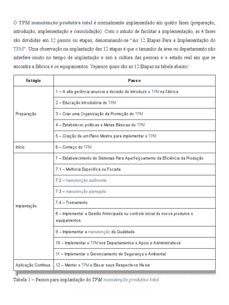 Os 12 Passos Para Implantação Do TPM | PDF | Planejamento | Qualidade ...