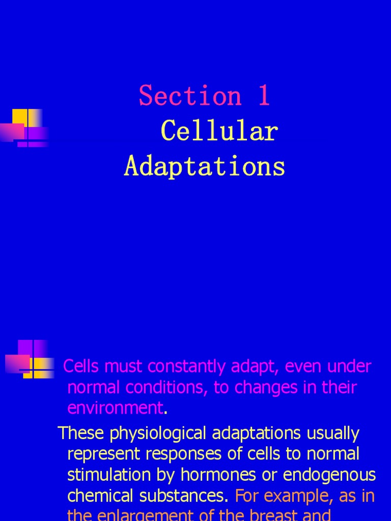 Cellular Adaptations in Pathology | PDF | Epithelium | Anatomy