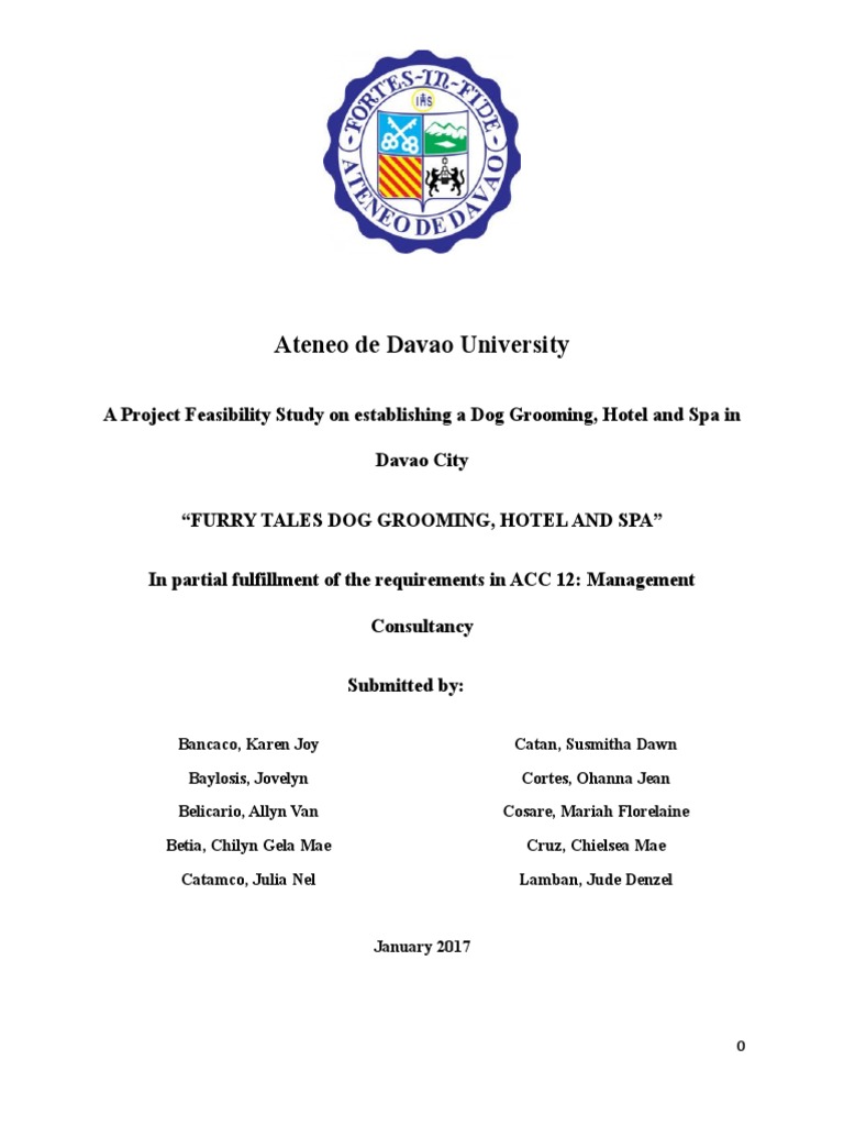 FINAL PARTIAL PFS......... Partially Revise | PDF | Feasibility Study ...