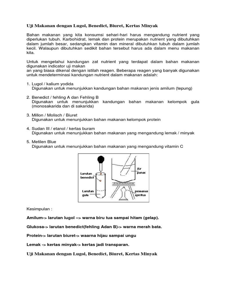 Uji Makanan Dengan Lugol | PDF