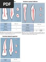 Clasificacion de Vertucci | PDF | Diente | Anatomia dental