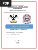ASTM D 4791-99 Forma de La Particula | PDF | Masa | Medición