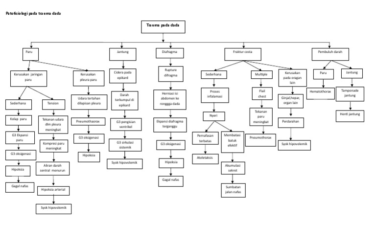 Pathway Trauma Dada | PDF | Griya & Taman | Sains & Matematika