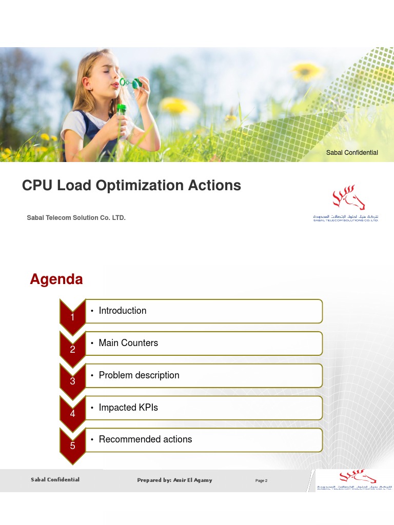 CPU Load Optimization Actions: Sabal Telecom Solution Co. LTD | PDF ...