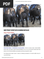 Sheep Farm Project Report - Project Report | PDF | Sheep | Livestock