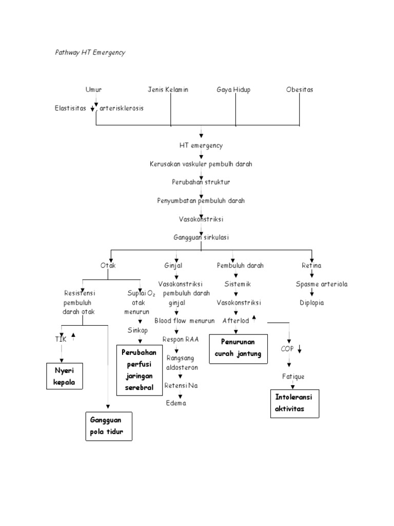 Pathway HT Emergency | PDF