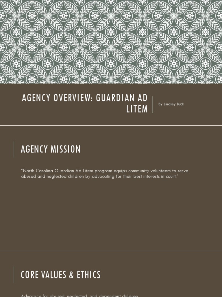 Agency Overview | PDF | Legal Guardian | Applied Ethics