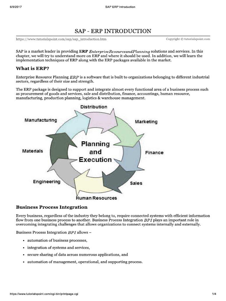 SAP ERP Introduction | PDF
