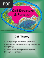 Understanding Organism Classification | PDF | Taxonomy (Biology) | Life