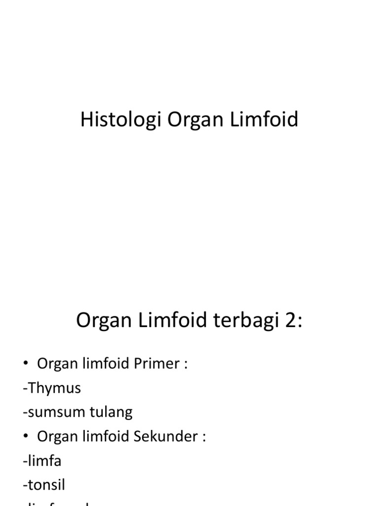Histologi Organ Limfoid Primer dan Sekunder | PDF